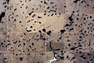 The Prairie Pothole Region - The Prairie Pothole Joint Venture