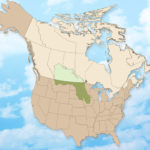 The Prairie Pothole Region - The Prairie Pothole Joint Venture