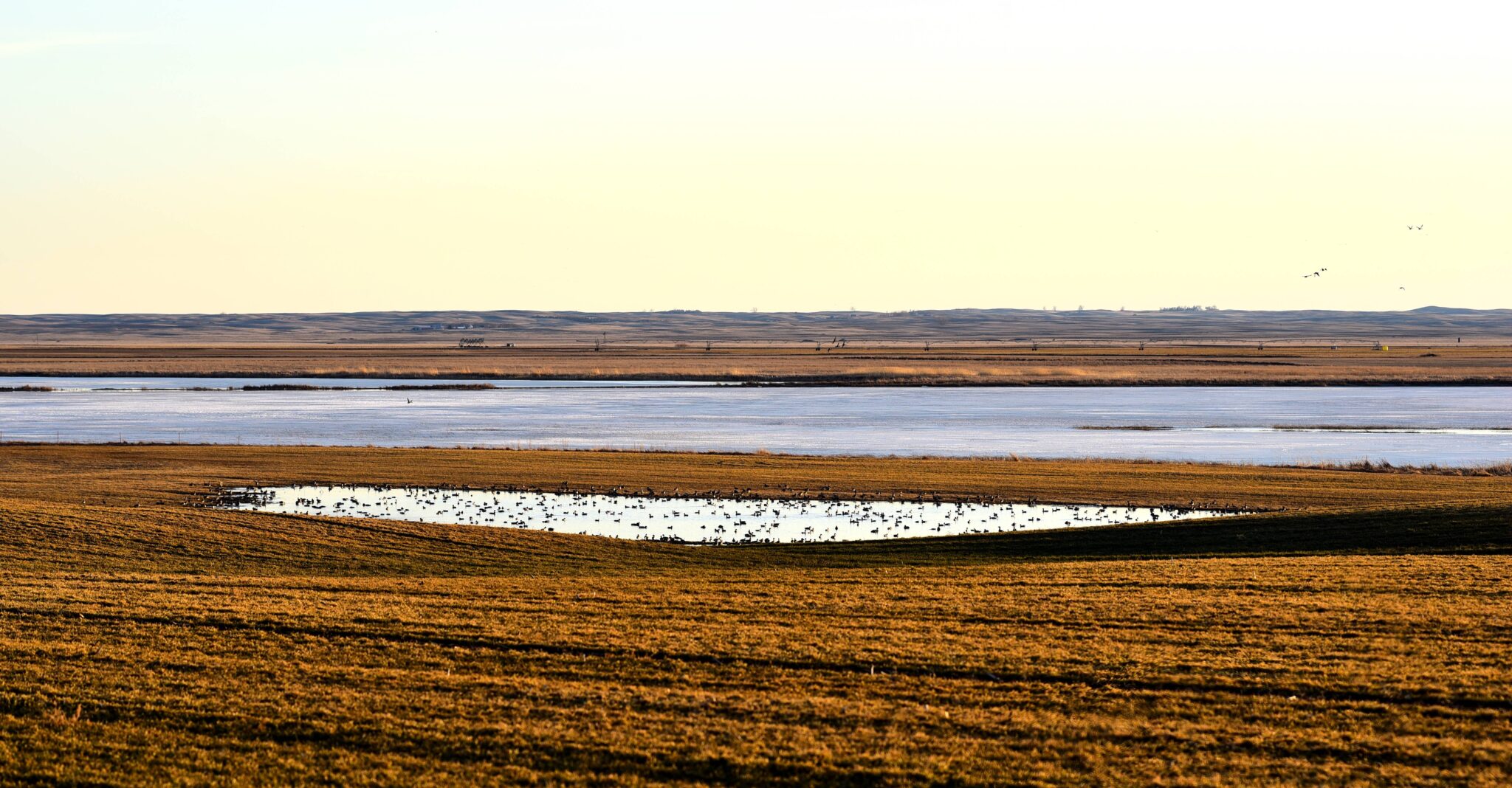 Home - The Prairie Pothole Joint Venture