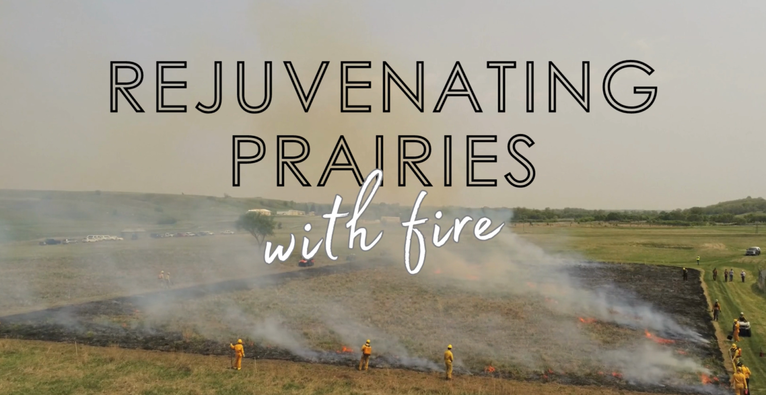 Home - The Prairie Pothole Joint Venture